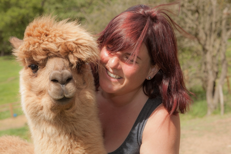 Alpaca Walking | Alpaca Walking Experience | Alpaca Alpaca
